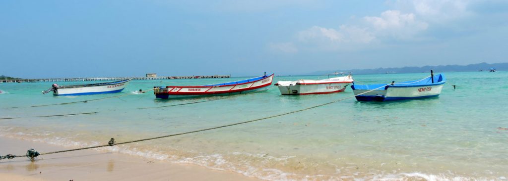 Neil-Island-in-Andaman - Andaman Guide